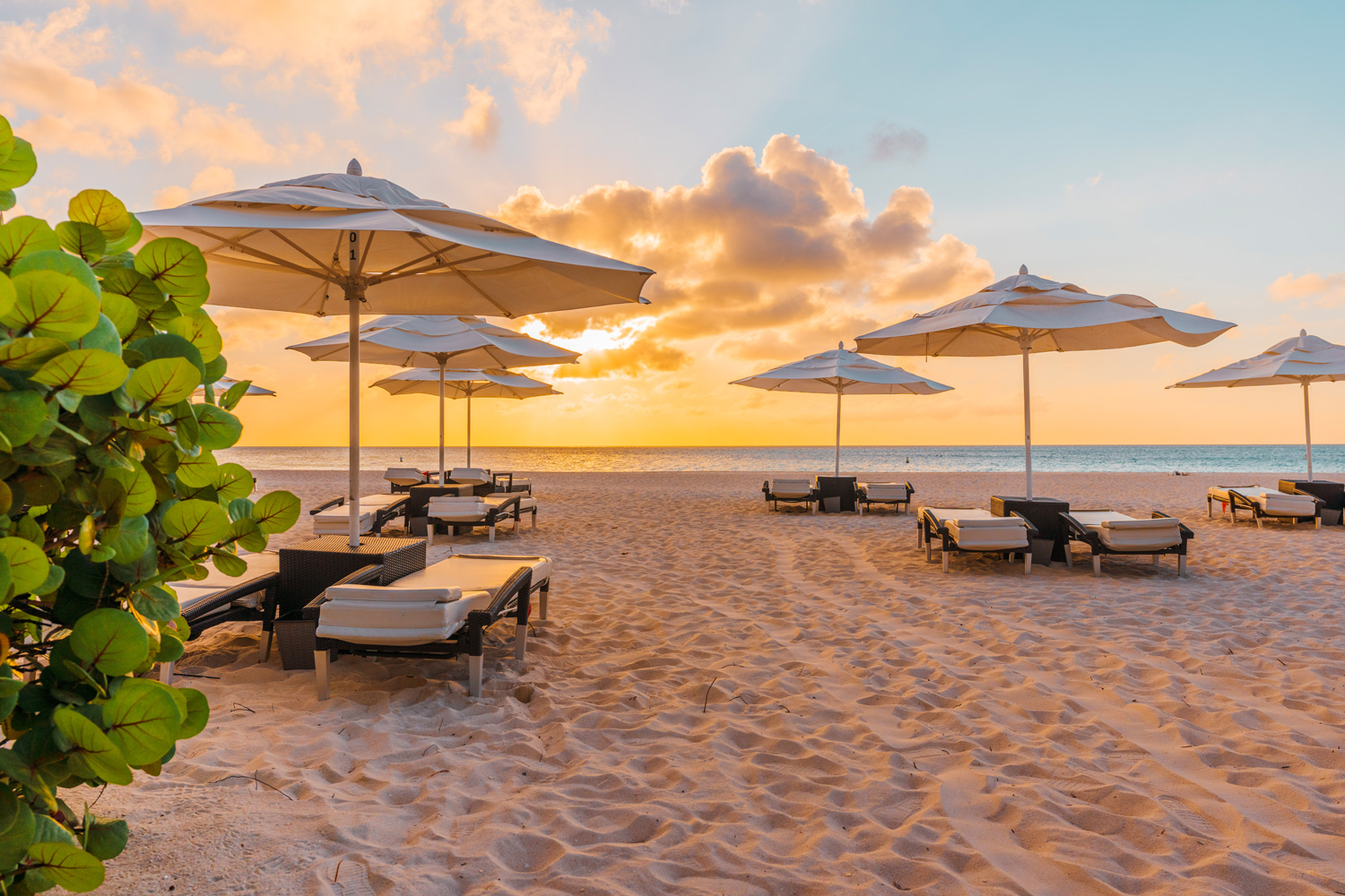 Ewald Biemans führt das nachhaltigste Hotel der Welt.
